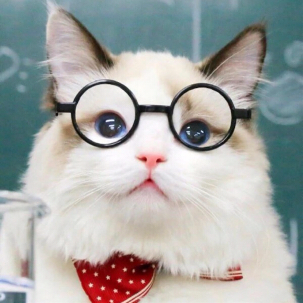 3D小喵 