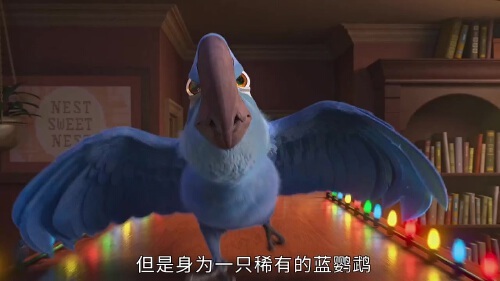 13一只不会飞的鸟,居然过上了人类的生活,动画电影