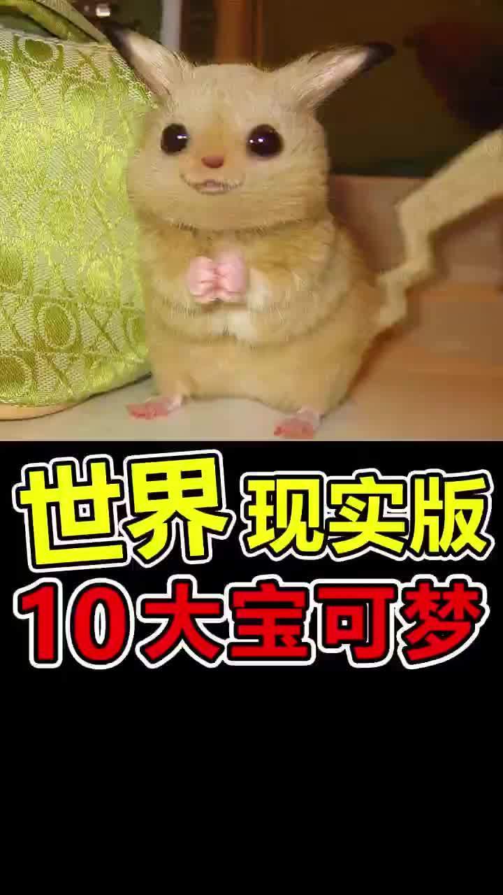 世界上"现实版"10大宝可梦#奇闻趣事