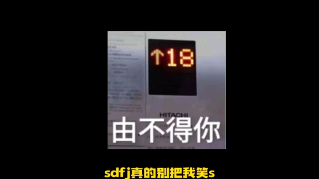 【tf家族夏季运动会】时代峰峻运动会惯例操作,楼奥会精彩不停