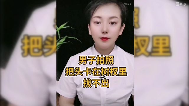 男子头伸树拍照被卡