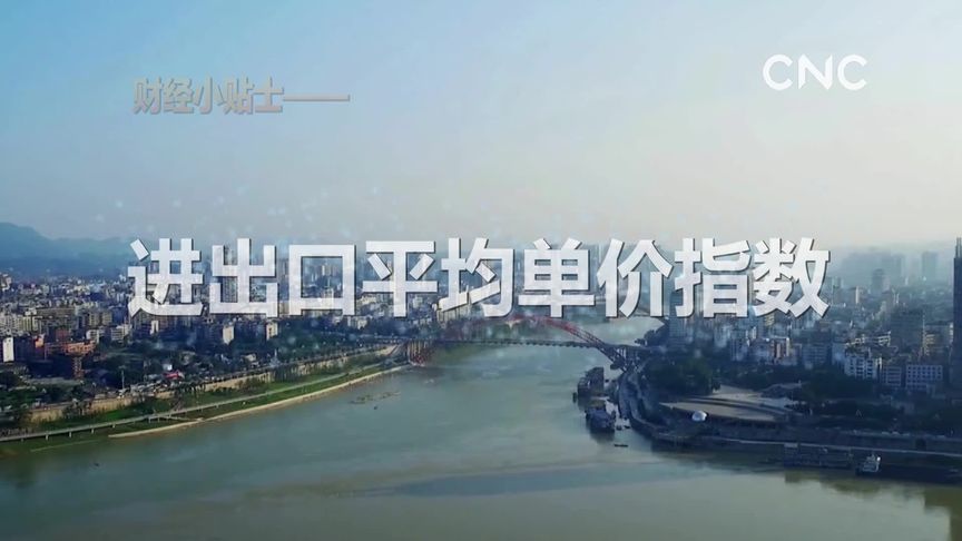 财经小贴士——进出口平均单价指数
