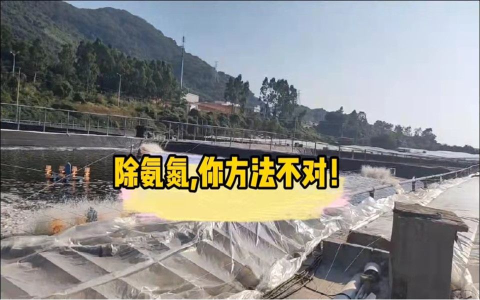 除氨氮,你方法不对!