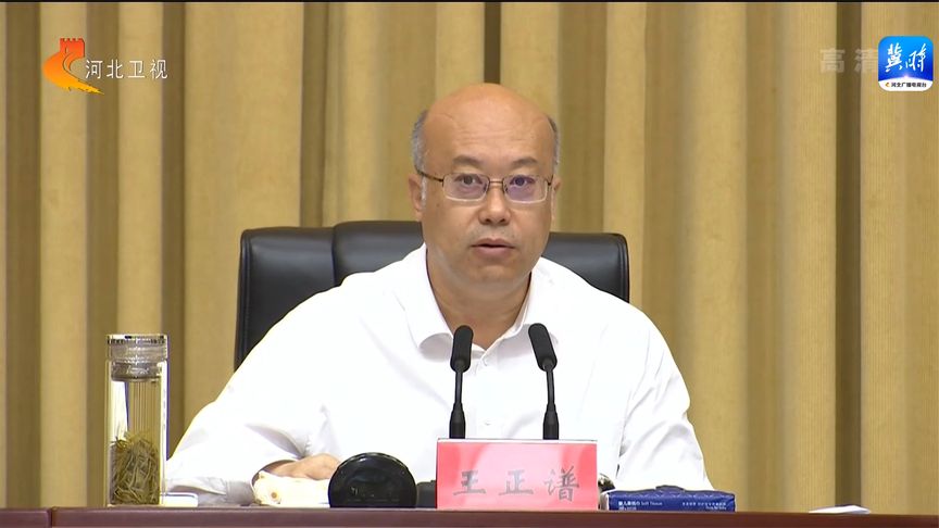 王正谱出席全省安全生产电视电话会议