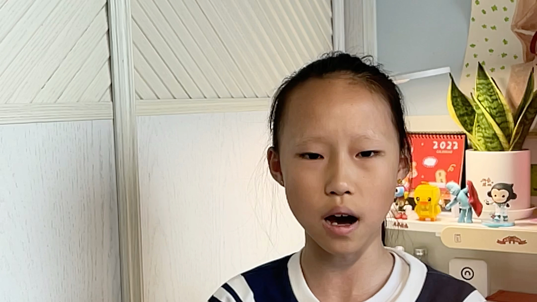 推荐一本好书《三国演义》——郑焱爻