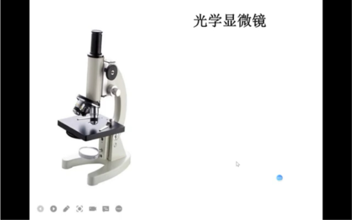 北师大生物七年级上册第三章第一节复习课