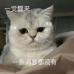 空想浪漫和友情 