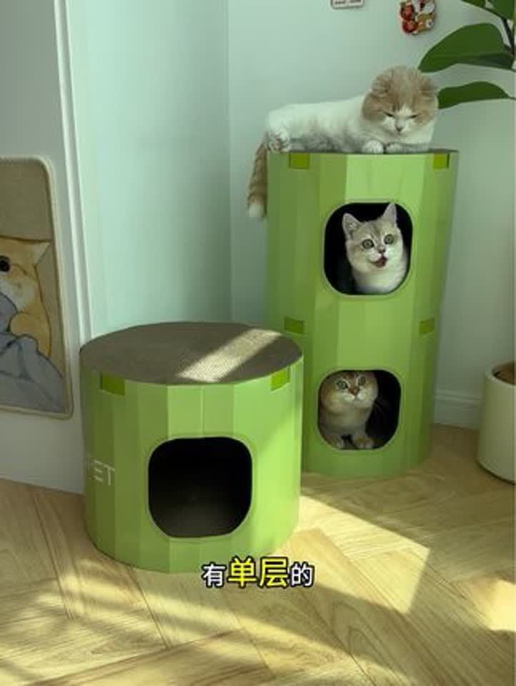 把猫抓板做成了树洞猫抓桶,能磨爪子能钻洞,还能当猫窝小猫喜欢我也...