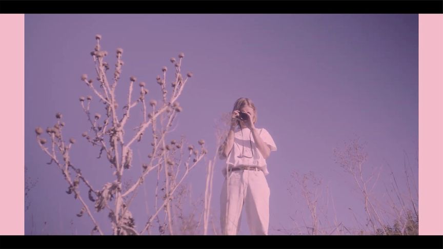 Dolphin Love - areyougoingtobehere (Music Video)