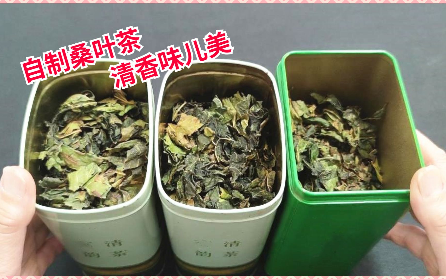 霜后桑叶茶,在家就能轻松制作,香气扑鼻,留一年都不会坏