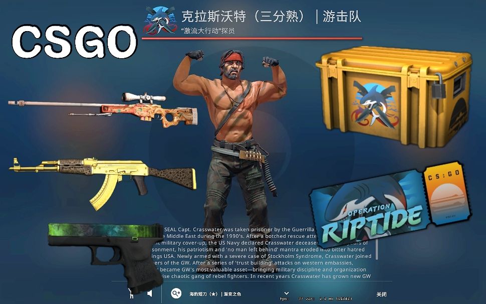 【CSGO】激流大行动,箱子奖励预览!真泳装探员,黄金AK