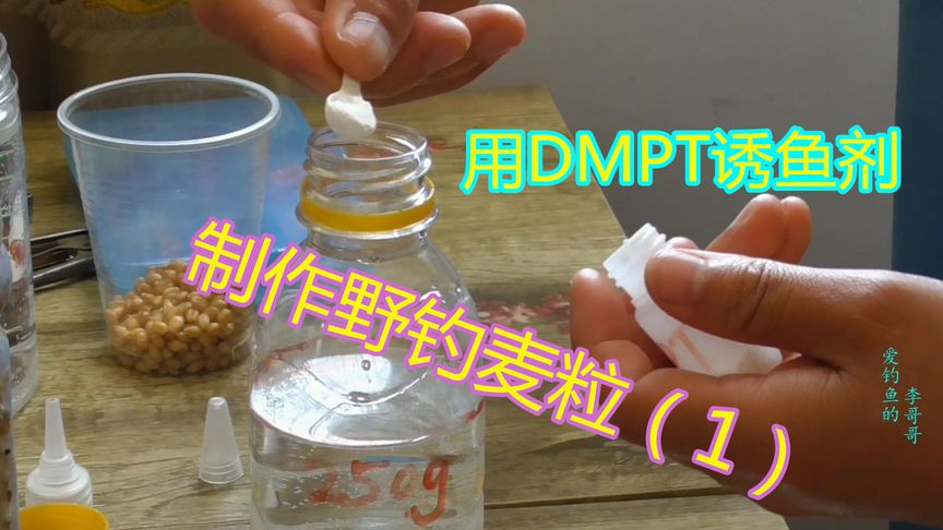 DMPT诱鱼剂,野钓麦粒制作,这种溶液浓度让它吃到饱