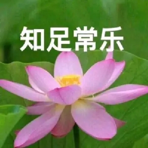 杀人如麻添加你为好友 