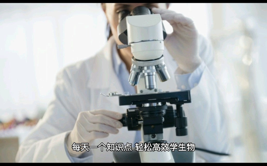 七上生物知识点第8集:显微镜的使用