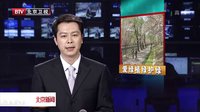 爱绿植绿护绿:春花盛放 园林美景提升幸福指数 [北京新闻]