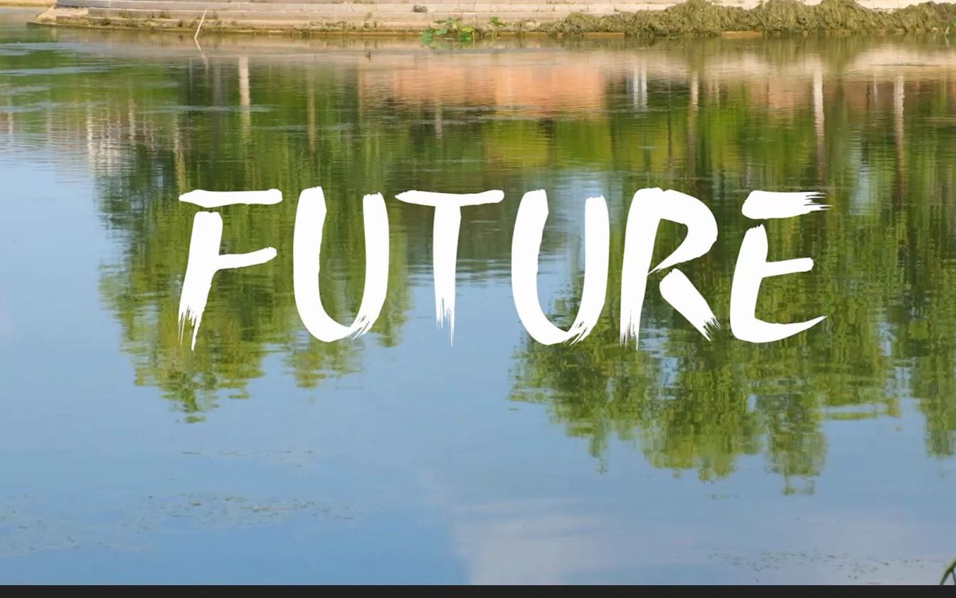 【PR教程】PR文字效果制作