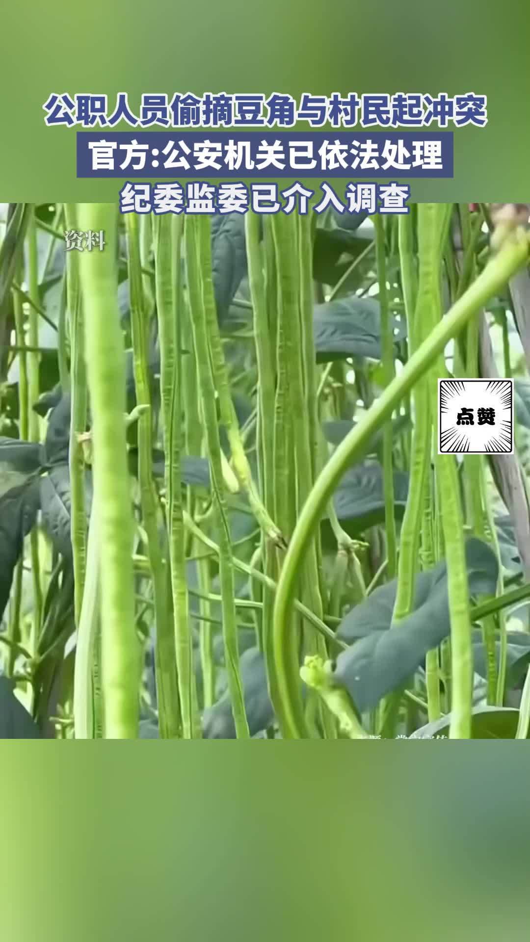 公职人员偷摘豆角与村民起冲突官方公安机关已依法处理