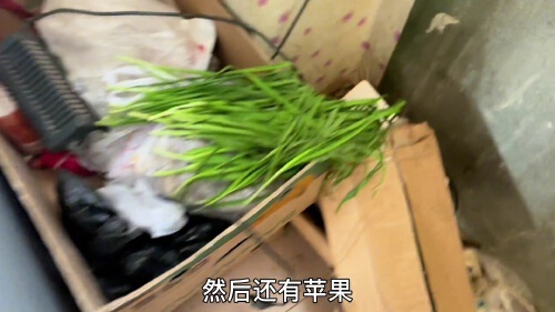 妈妈可真抠门啊,给杨可做这样的生日蛋糕,还搭配水果,会喜欢吗