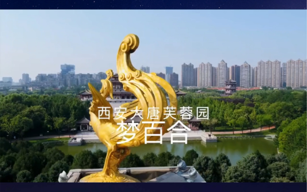 西安无人机表演品牌宣传片