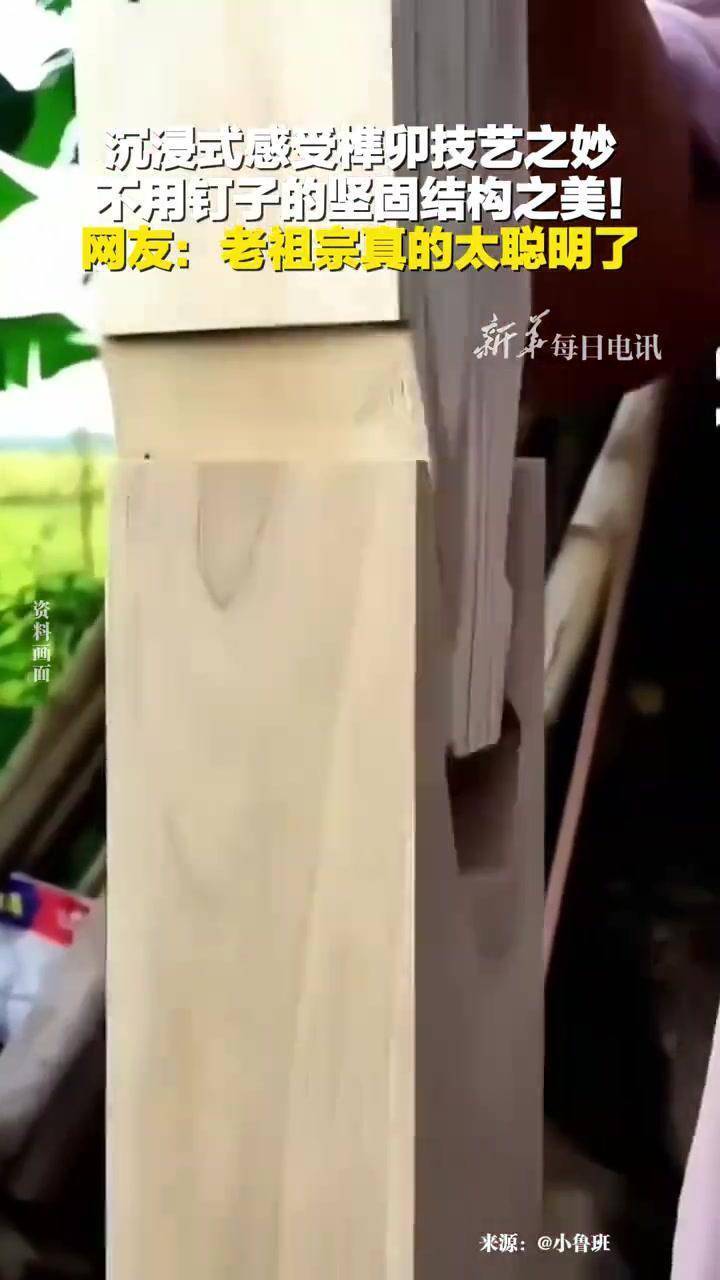 沉浸式感受榫卯技艺之妙,不用钉子的坚固结构之美(新华每日电讯)