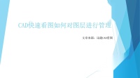 CAD快速看图如何对图层进行管理