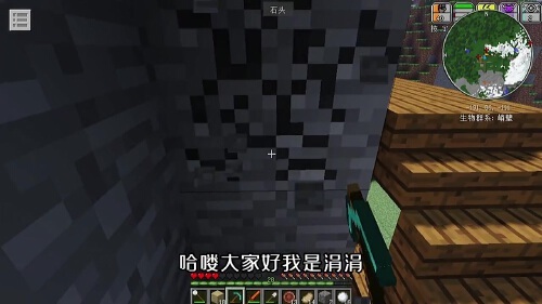 虚无世界2:不想住山洞,涓涓拆掉的四人房,和大猫一起做别墅