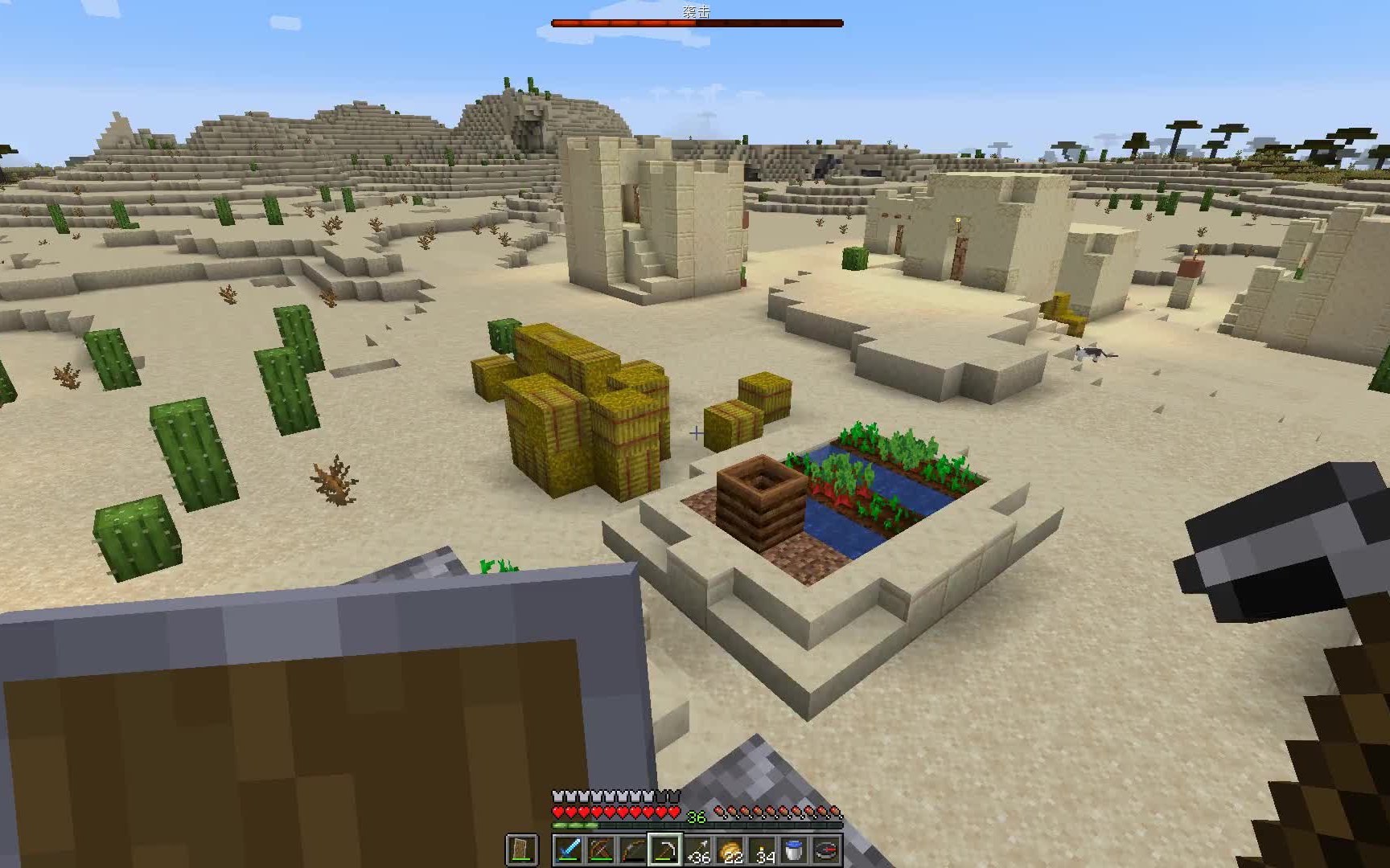 《我的世界》p10 村庄英雄