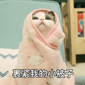 屏系酱 