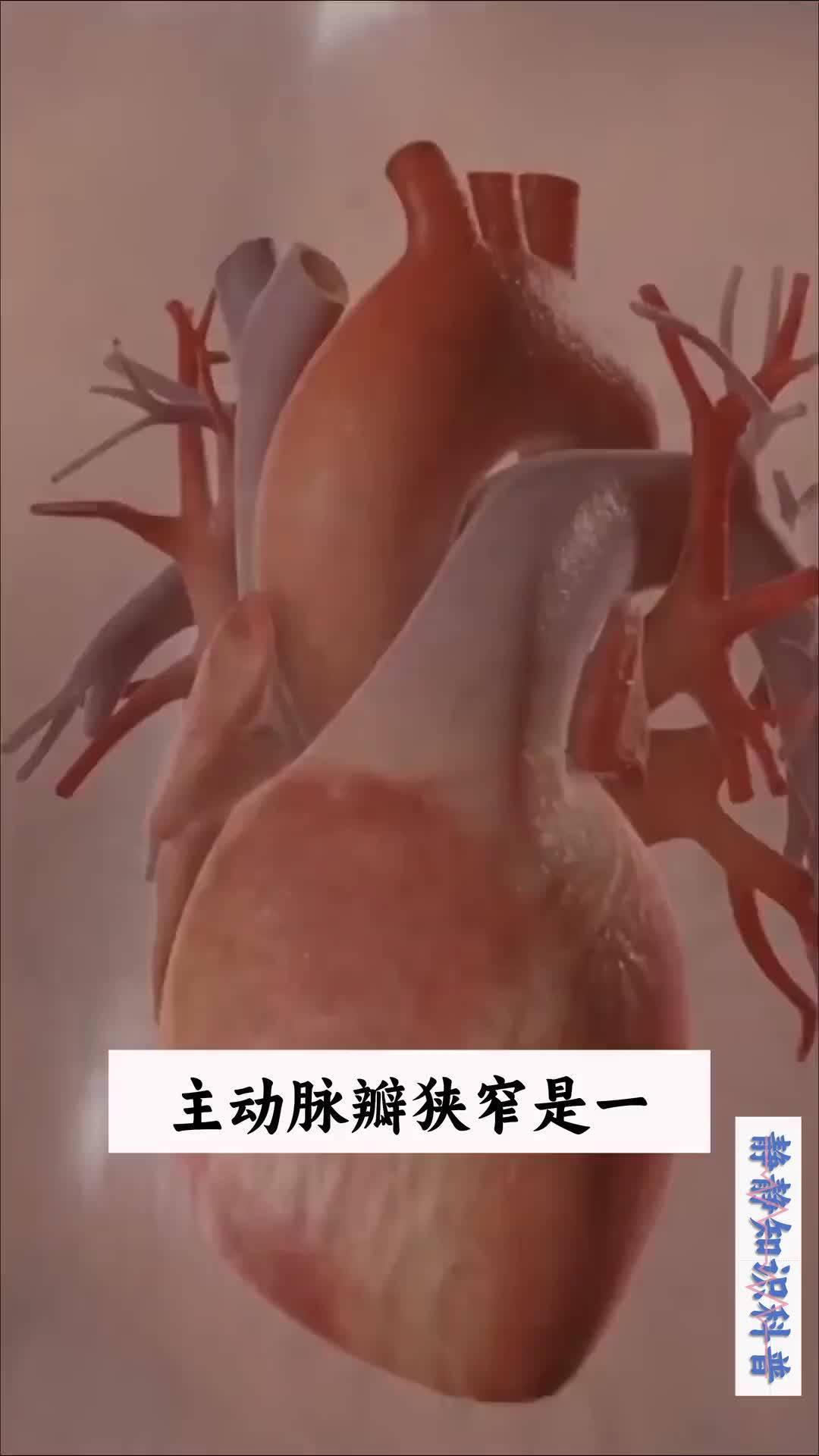 心脏瓣膜替换成机械的