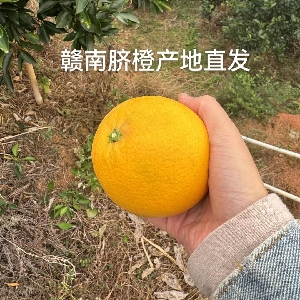林雨糖手工 