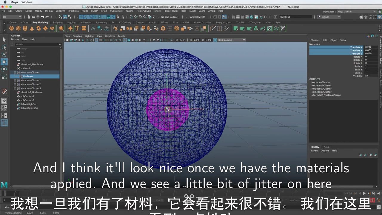 005. 细胞分裂3-动画