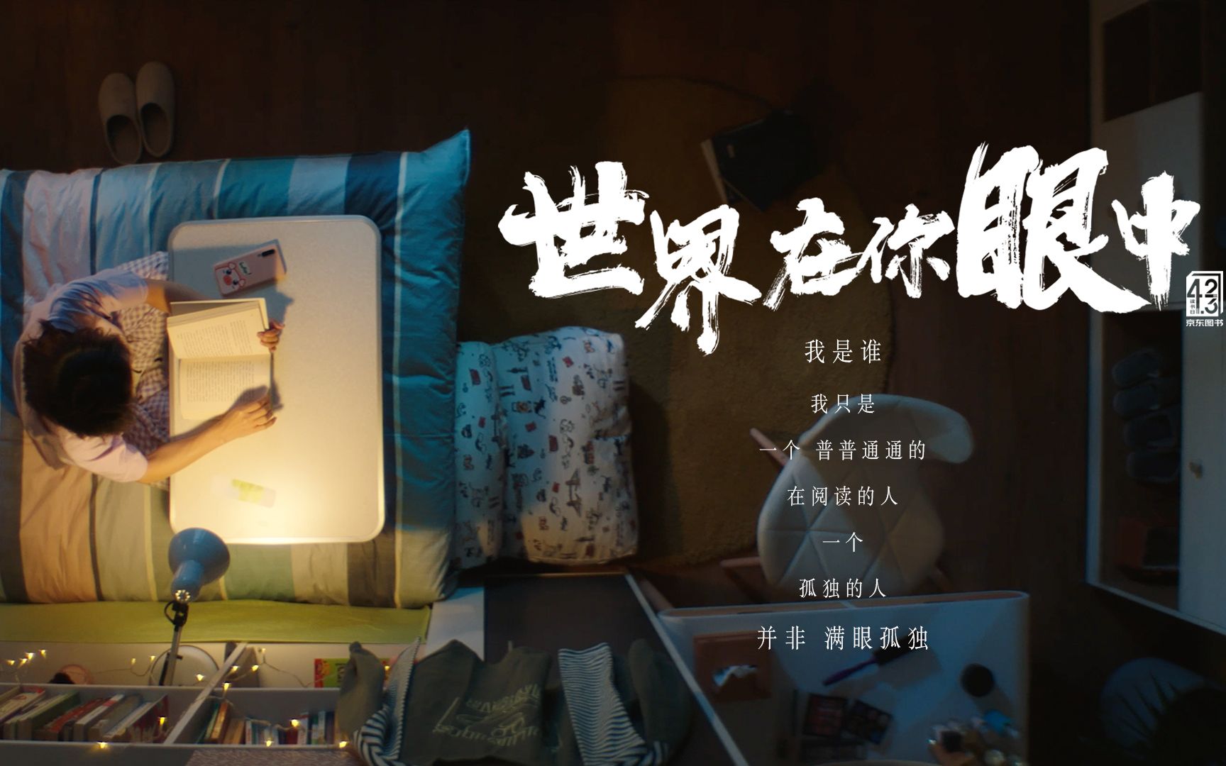 京东图书423《世界在你眼中》