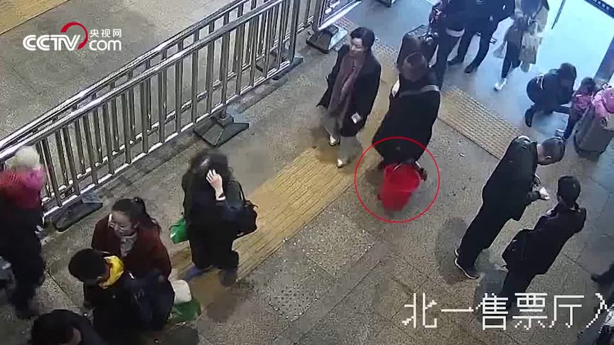 旅客携甲鱼进站乘车被安检拦下 铁路乘车宠物禁限令你知道吗