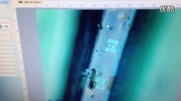 OLYMPUS MX61奥林巴斯显微镜操作演示