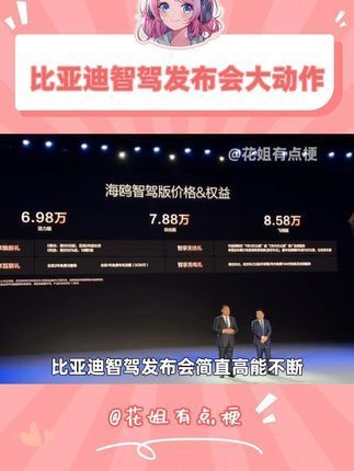 几万就能实现智驾,比亚迪你是要颠覆汽车行业格局? #比亚迪 #全民智...