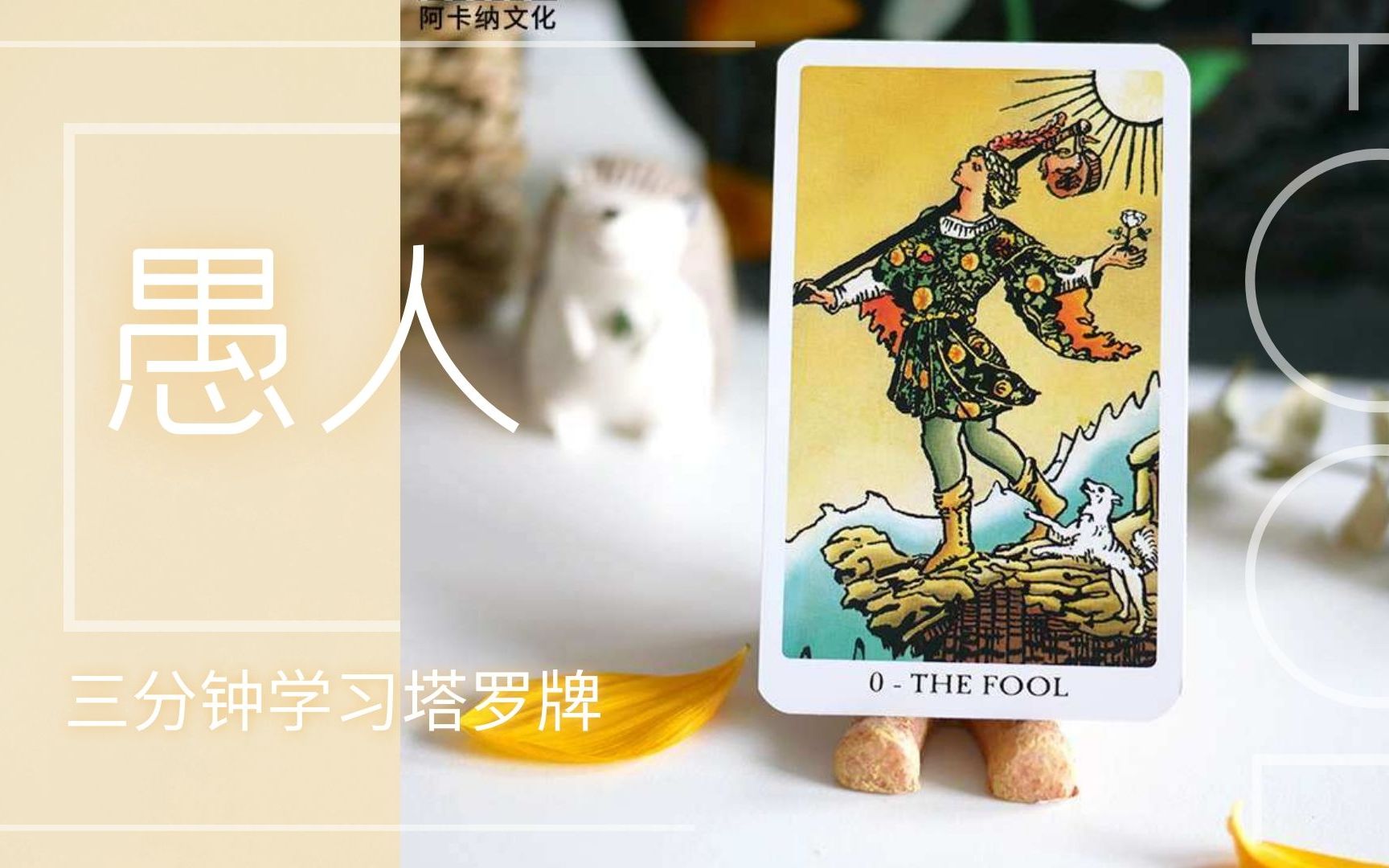 【愚人】塔罗零基础新手小白入门|单张牌基础牌意学习--阿卡纳