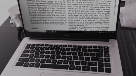 这款笔记本自带键盘记录器,隐私信息进行盗取.