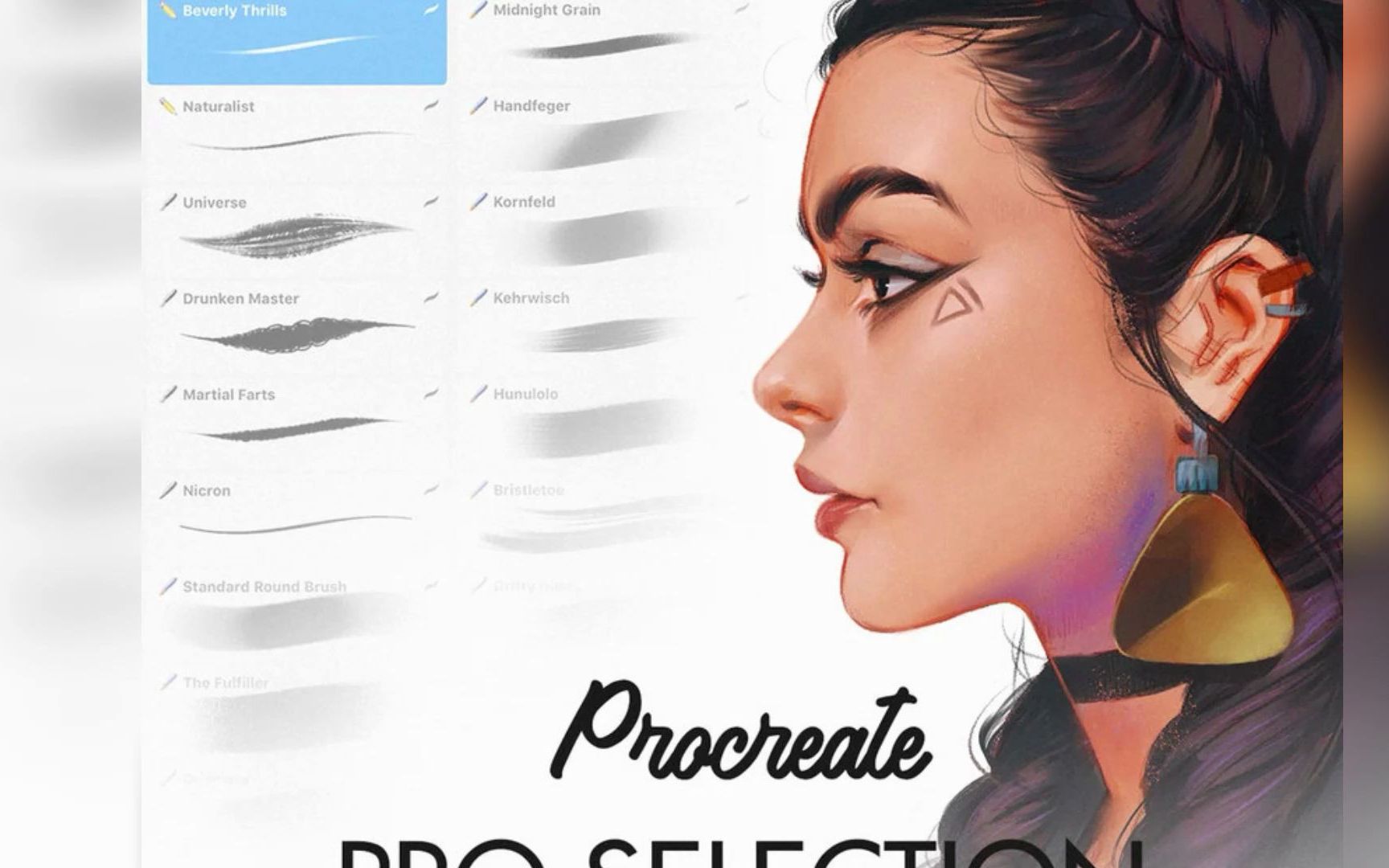 Procreate笔刷-专业的人像铅笔墨水钢笔圆形毛发噪点纹理插画笔刷...