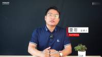 购置税减半,多家车企响应官宣:全免!