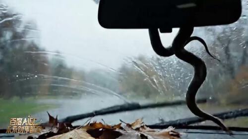雨刷器推不动落叶原来是蛇趴上面,在玻璃上拖出水痕!