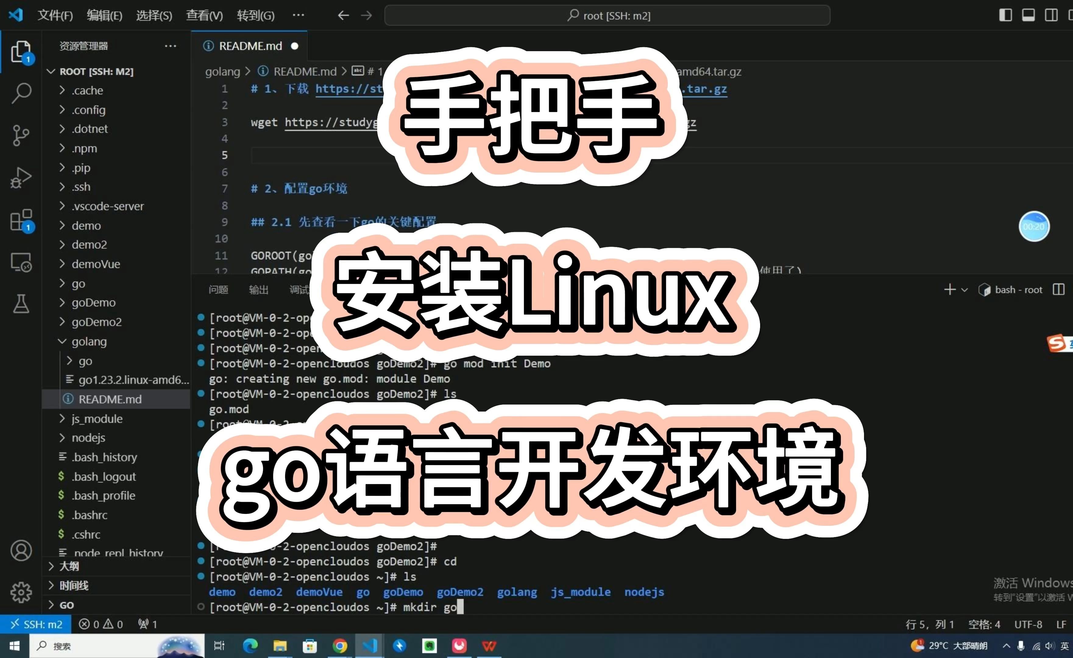手把手教你安装Linux,go语言开发环境