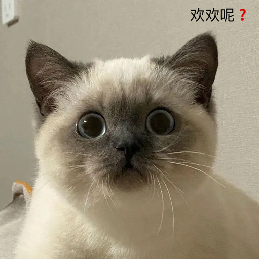 不以为然以为啥 