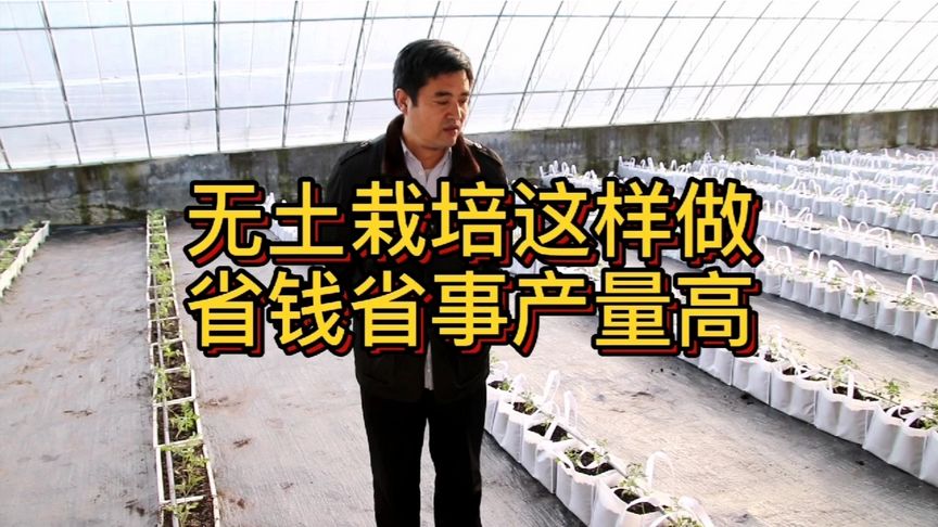 太牛了!新无土栽培模式出现,你还在用落后的国外模式浪费钱吗?