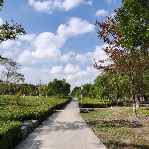 学芜芷竞 