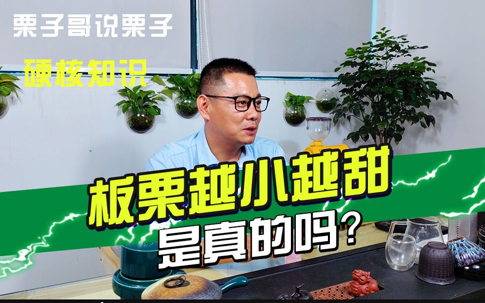 生活小知识:板栗是越小越甜吗?
