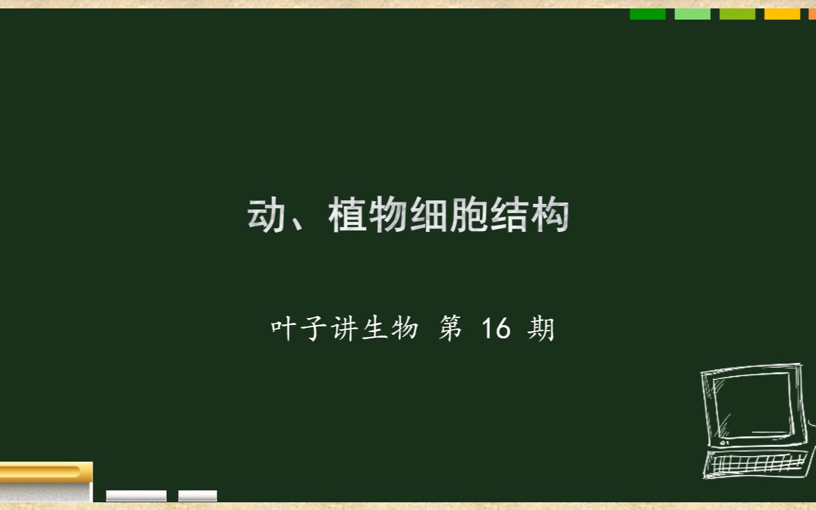 #叶子讲生物 第十六期 动、植物细胞结构,本期主要讲解动物细胞和...