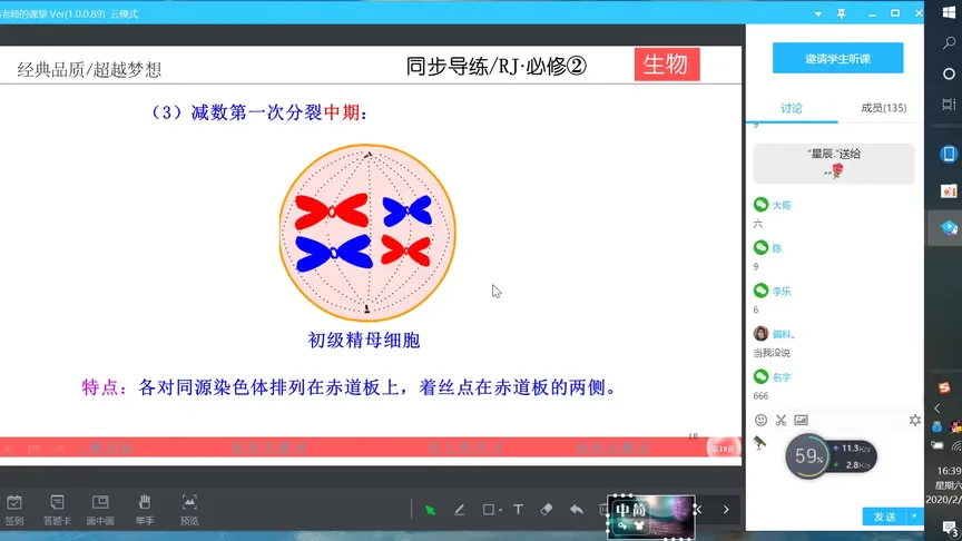 减数分裂全过程讲解