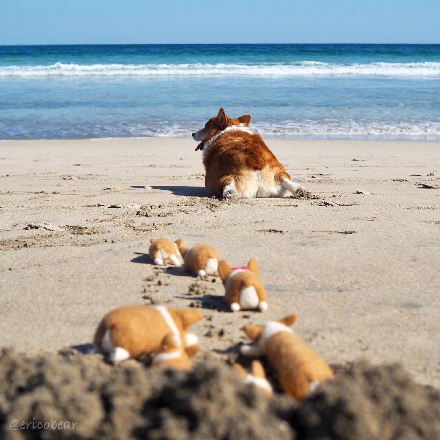 珍珠奶茶多点糖 