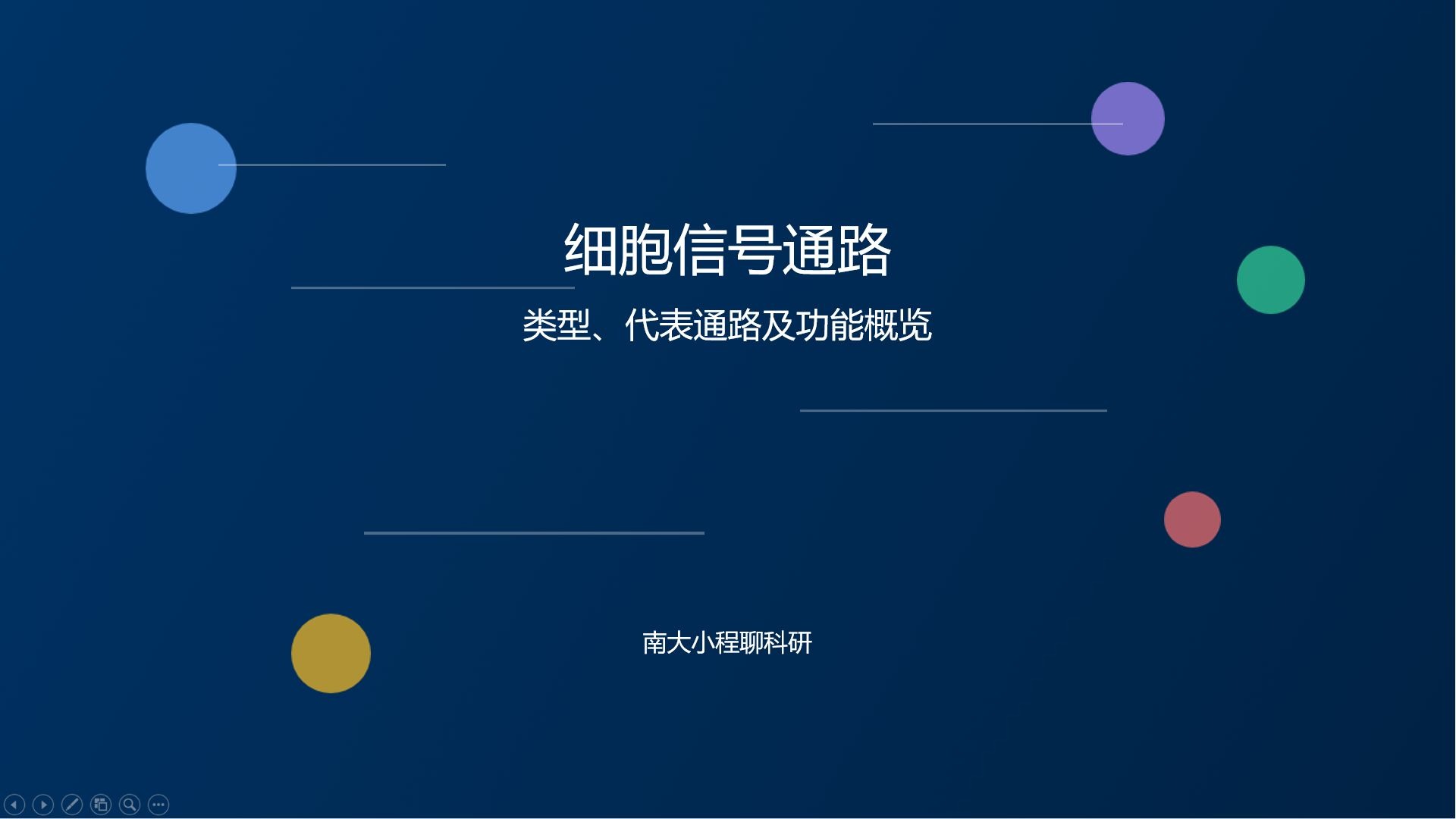 01-细胞信号通路:类型、代表通路及功能概览