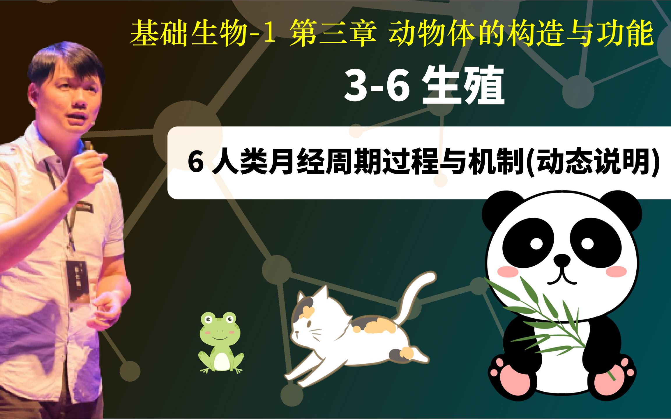 基础生物学3-6.6 人类月经周期过程与机制动态说明